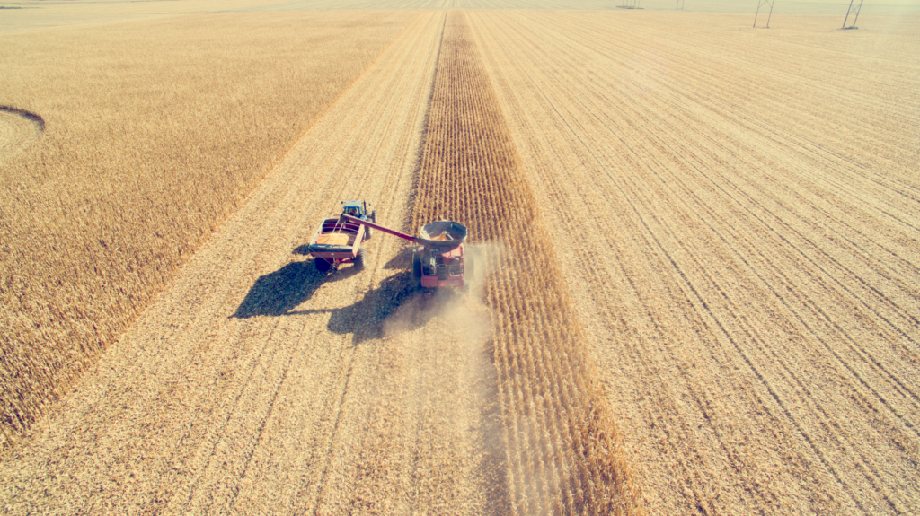 2026 Executive Council - NCFC